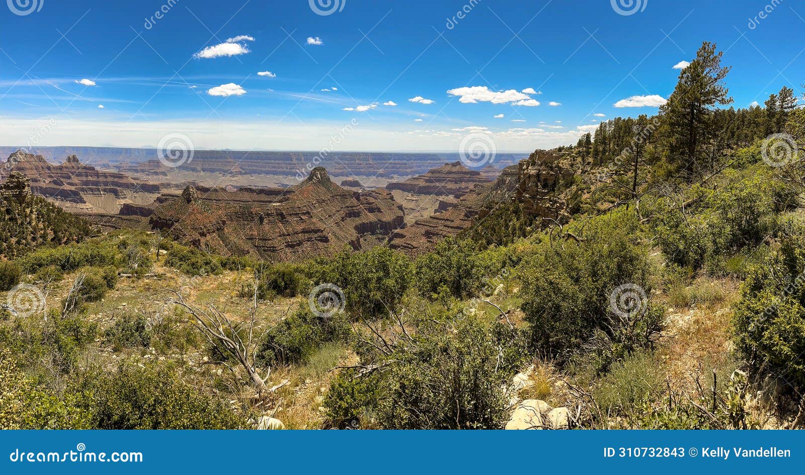 Views into the Grand Canyon from the North Rim Stock Image - Image of ...
