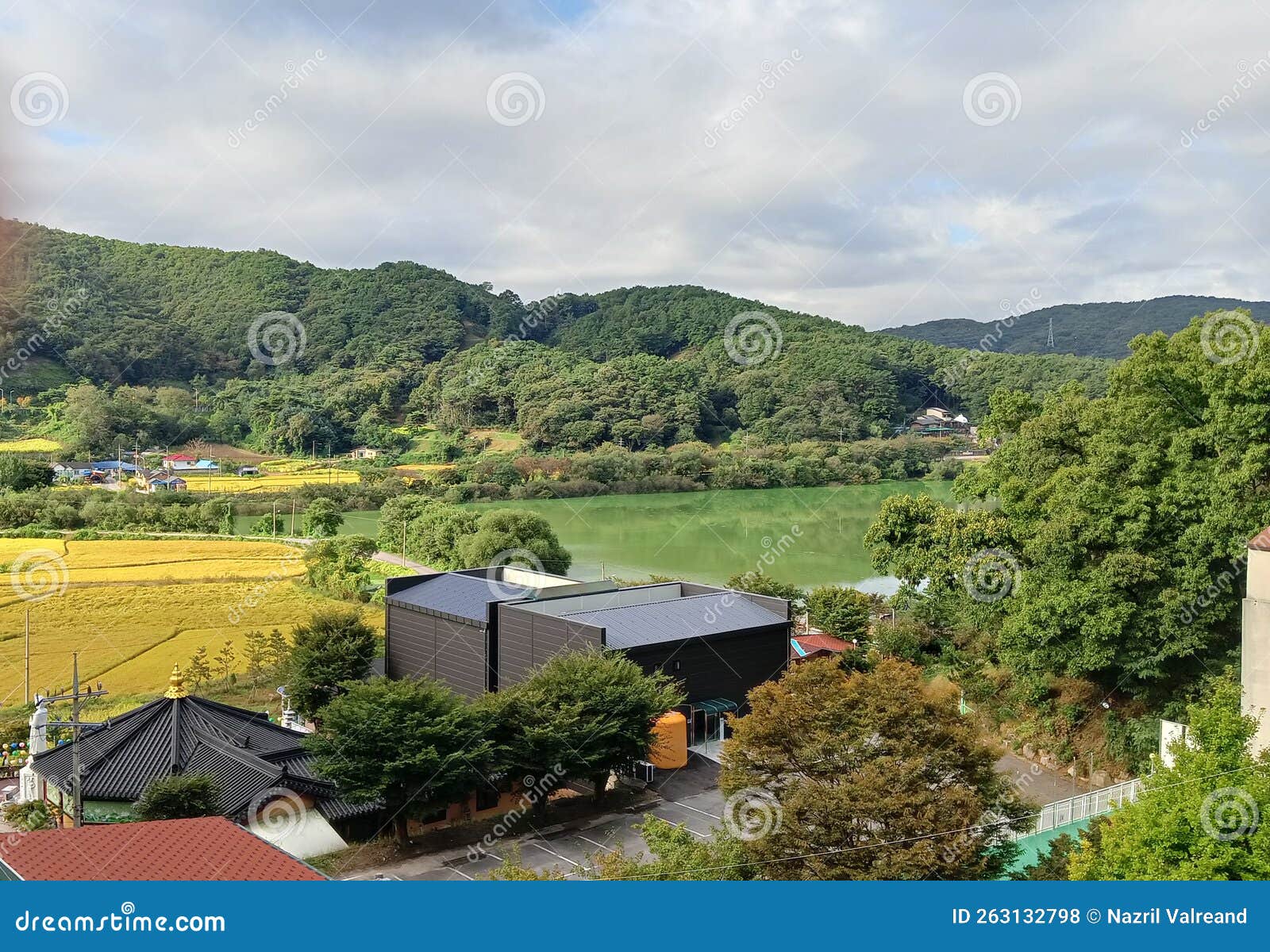 Views of Hills, Trees and Rice Fields in South Korea, Precisely in ...