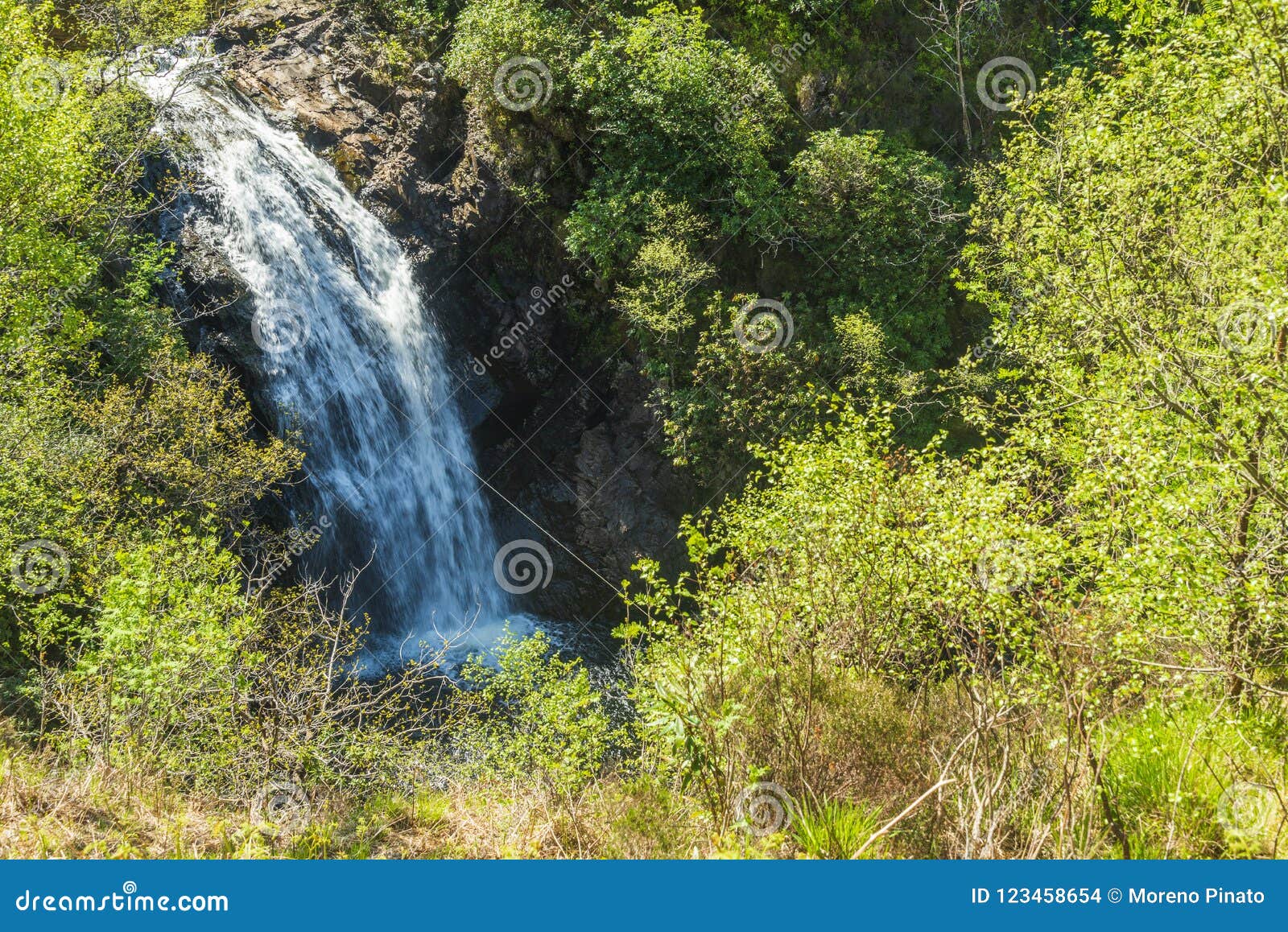 Inchree fall walk stock photo. Image of brushes, oban - 123458654