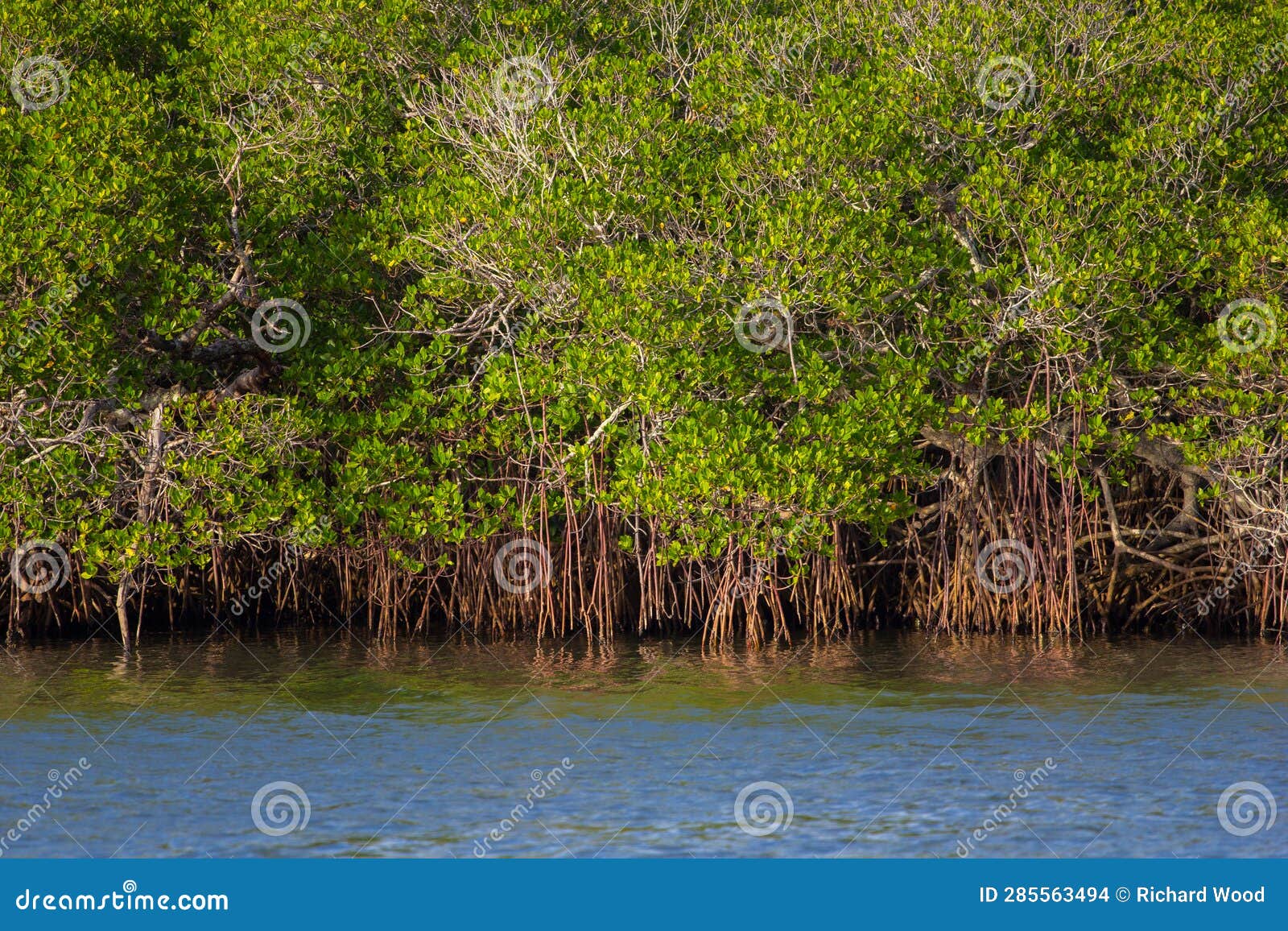 Views of the Indian River Lagoon, Florida Stock Photo - Image of views ...