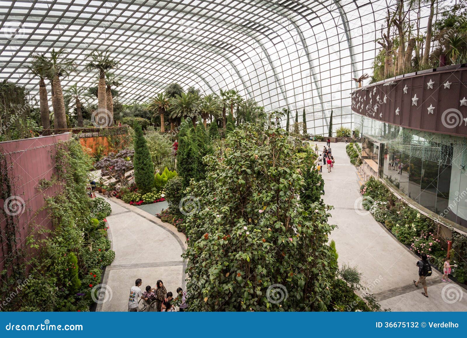 Views Inside Flower Dome, Singapore Editorial Photography - Image of ...