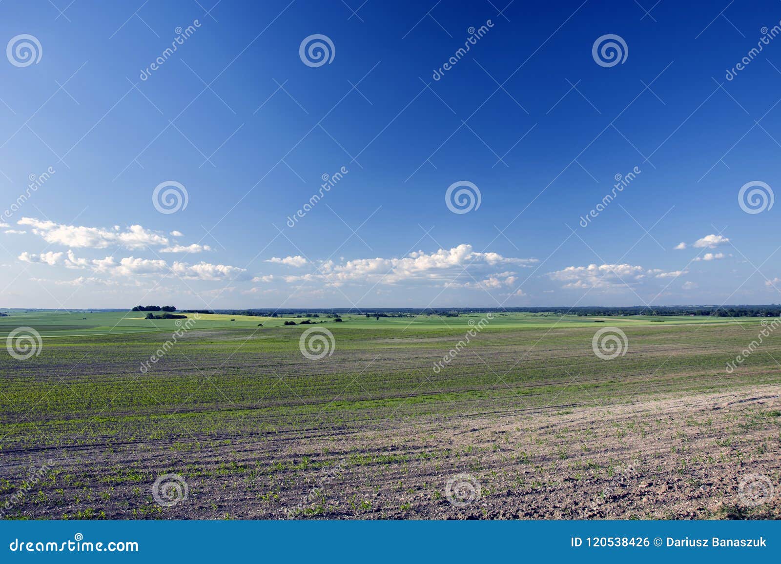 Views of Large Fields, Forests and Clouds in the Sky Stock Photo ...