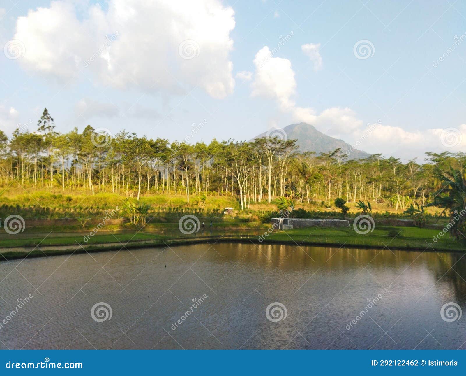 Views of Mount Andong and Rice Fields Stock Photo - Image of views ...