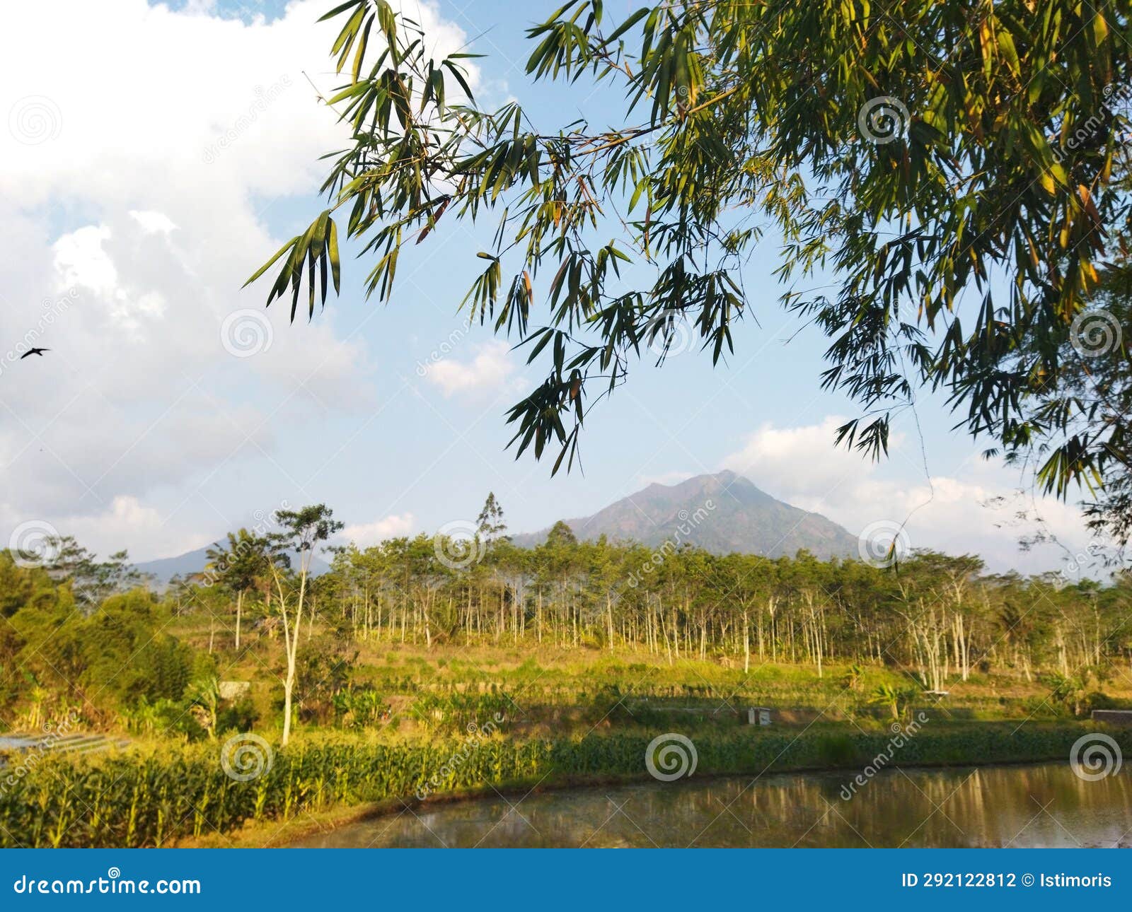 Views of Mount Andong and Rice Fields Stock Photo - Image of meadow ...