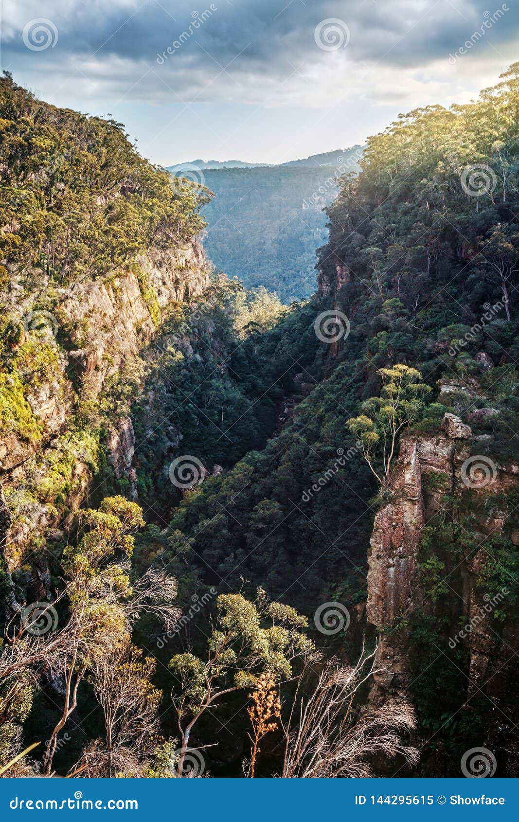 Views through the Mountain Gorge in Southern Highlands Stock Image ...