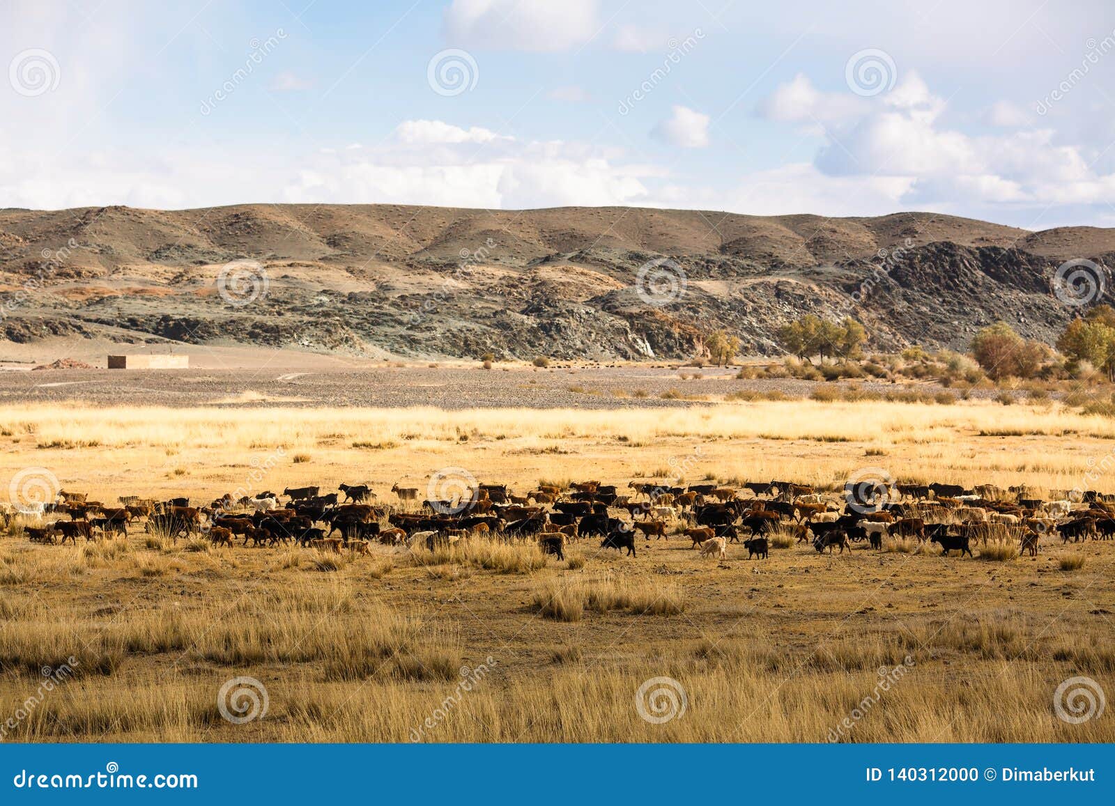 Views of the Mountains of Mongolia Stock Photo - Image of plateau ...