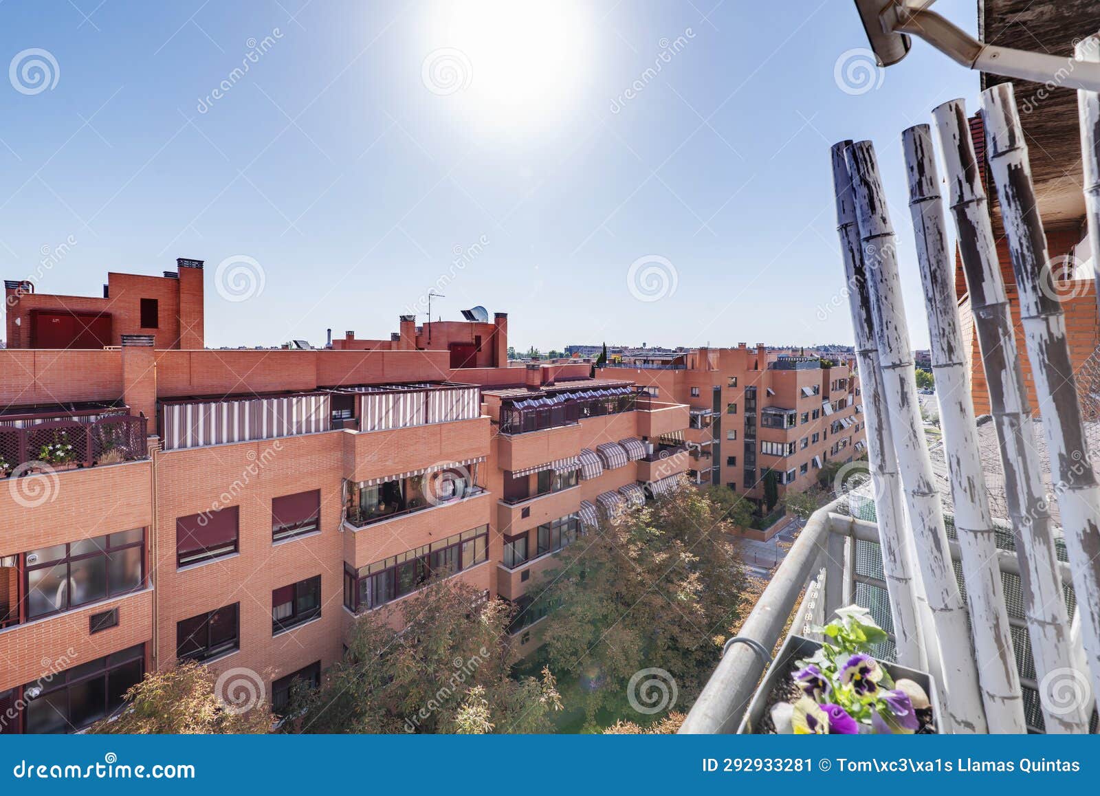 Views from a Nice Terrace To Buildings Across the Street on a Tree ...