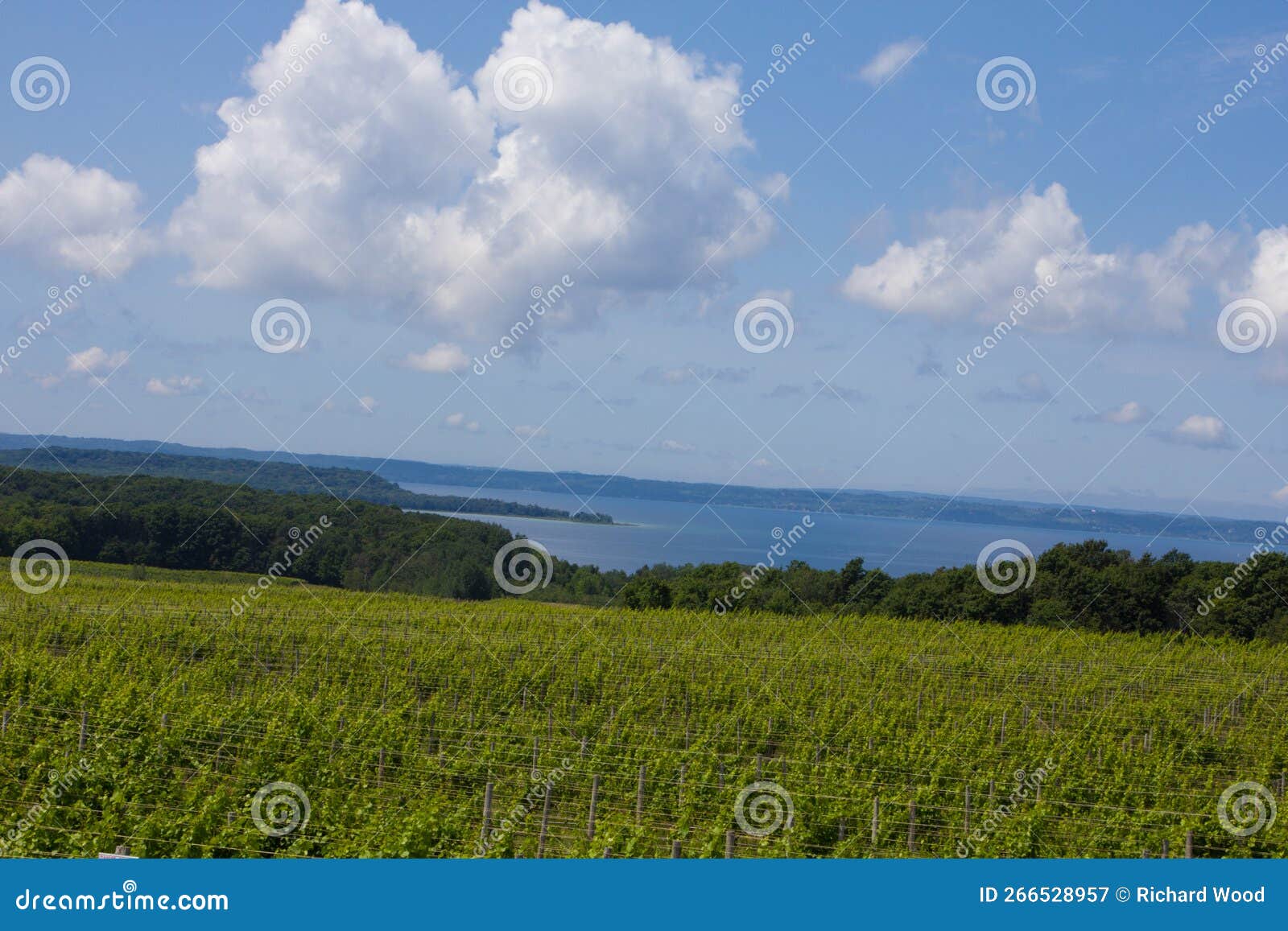Old Mission Peninsula, North of Traverse City, Michigan in Summer Stock ...