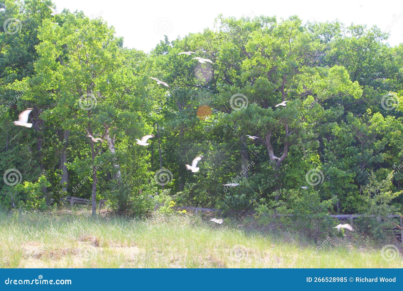 Old Mission Peninsula, North of Traverse City, Michigan in Summer Stock ...