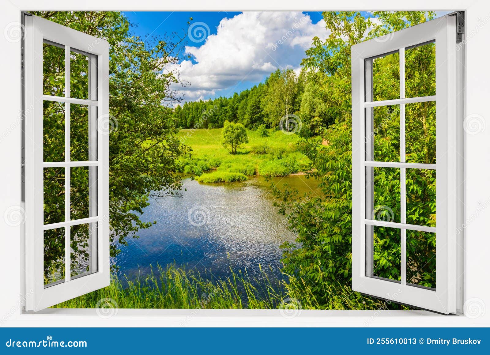 Views of the pond stock image. Image of pond, nature - 255610013