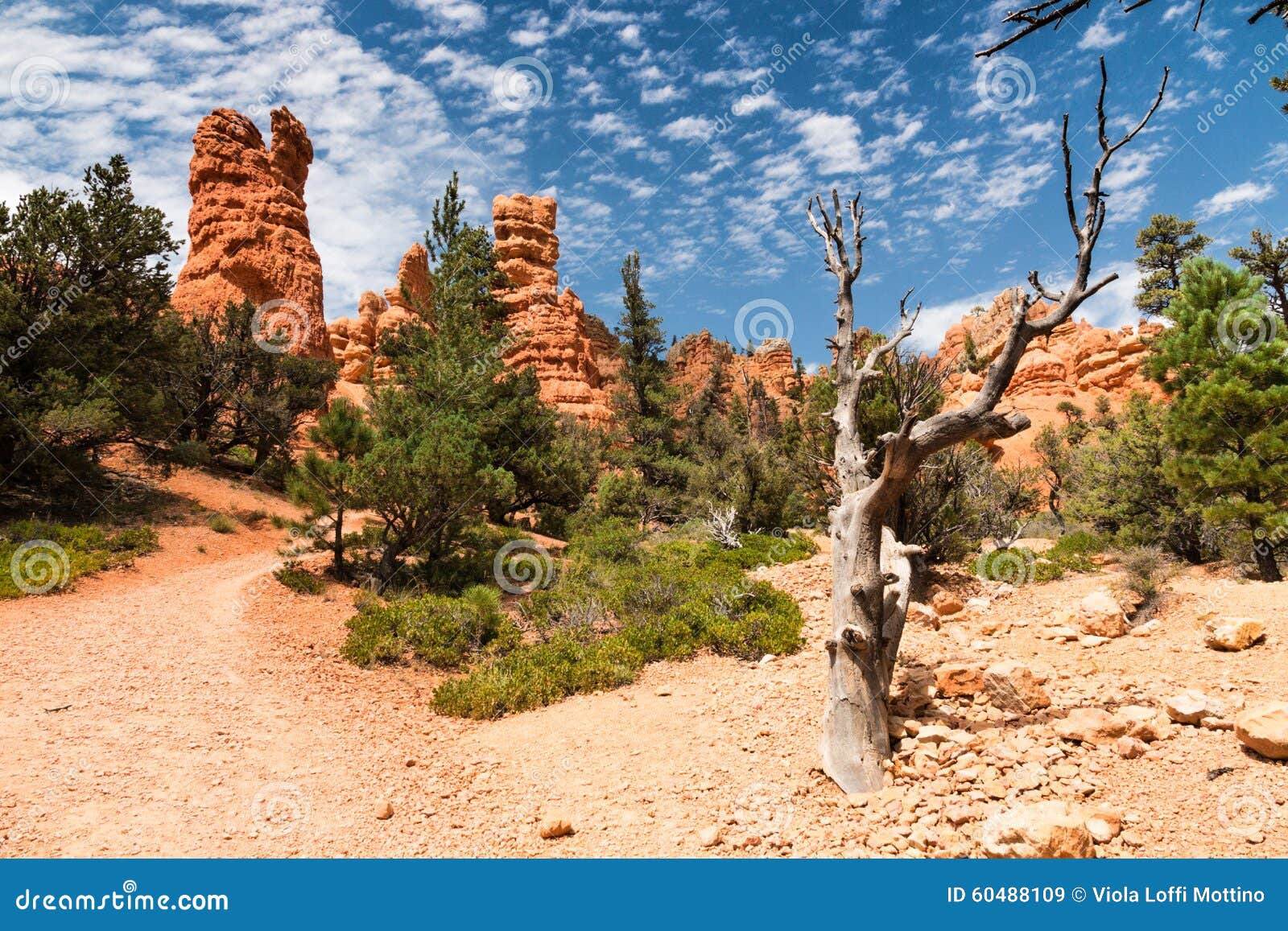Views from Red Rock Canyon, Nevada / Red Rock Stock Image - Image of ...