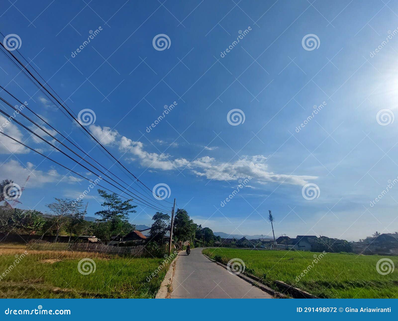 Views of Rice Fields and Blue Skies Stock Photo - Image of blue, views ...