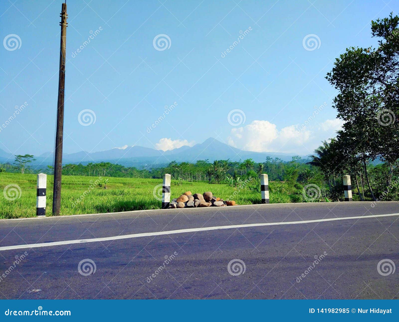 The View of the Rice Fields from the Side of the Road is Very Beautiful ...