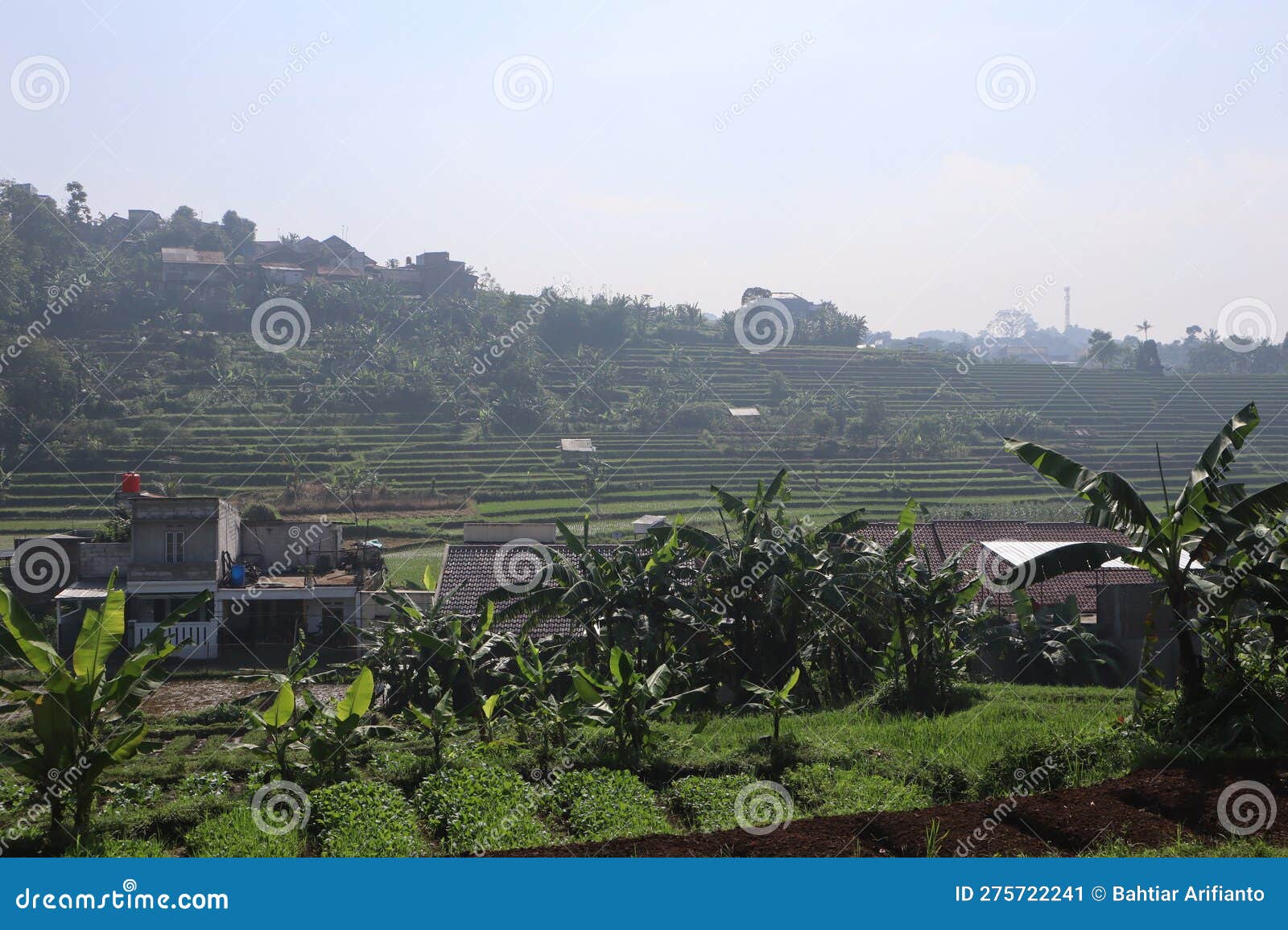 Views on tour D Castelo stock image. Image of landscape - 275722241