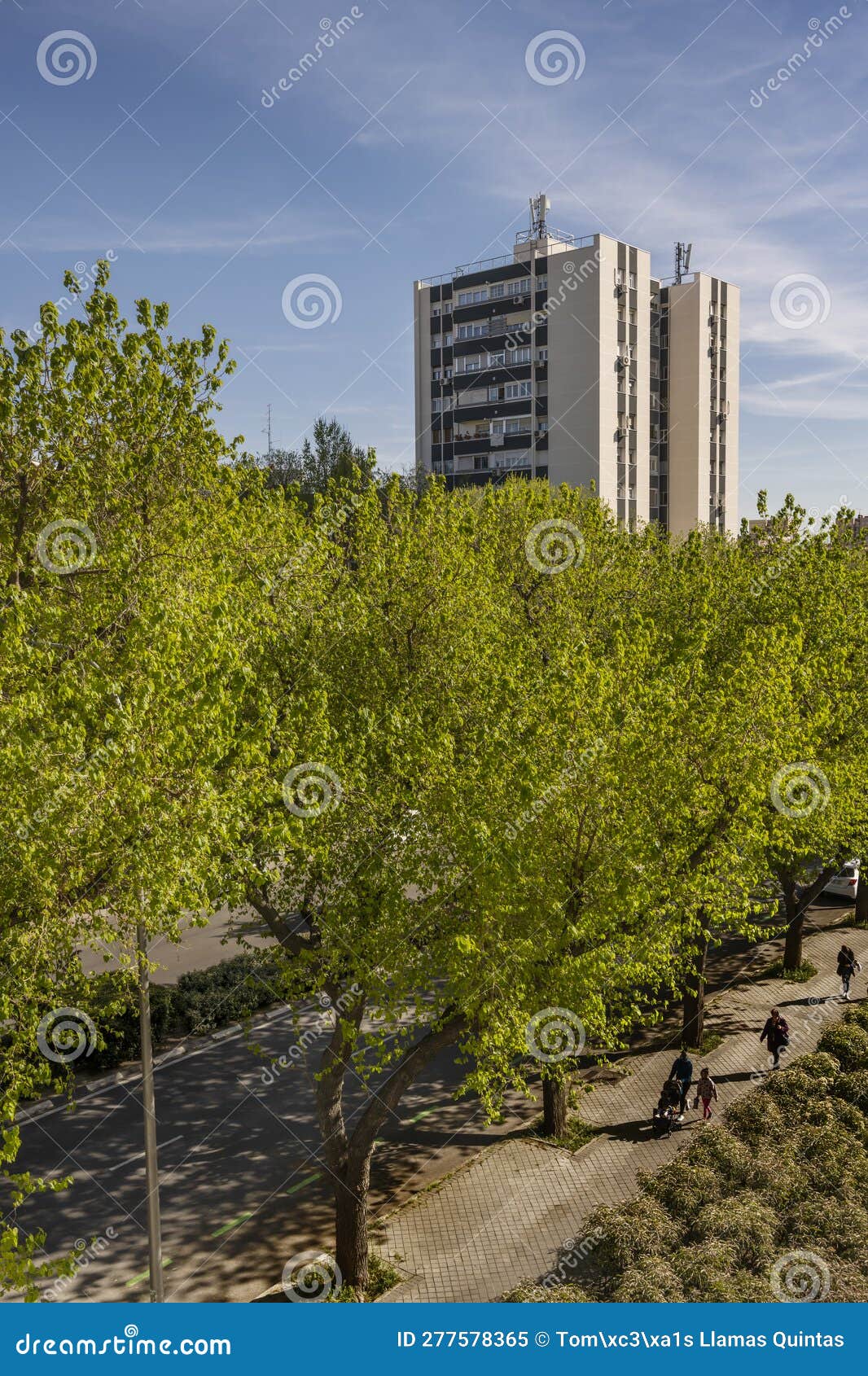 Views of a Tree-lined and Landscaped Street Stock Image - Image of ...
