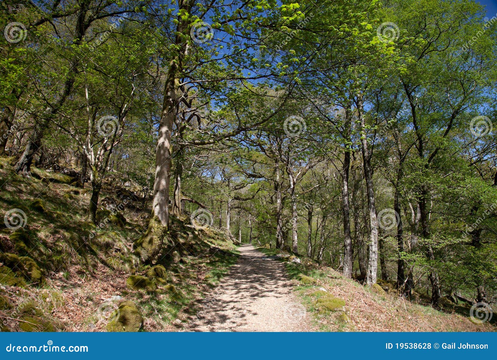 Views up the Watkins Path stock photo. Image of national - 19538628