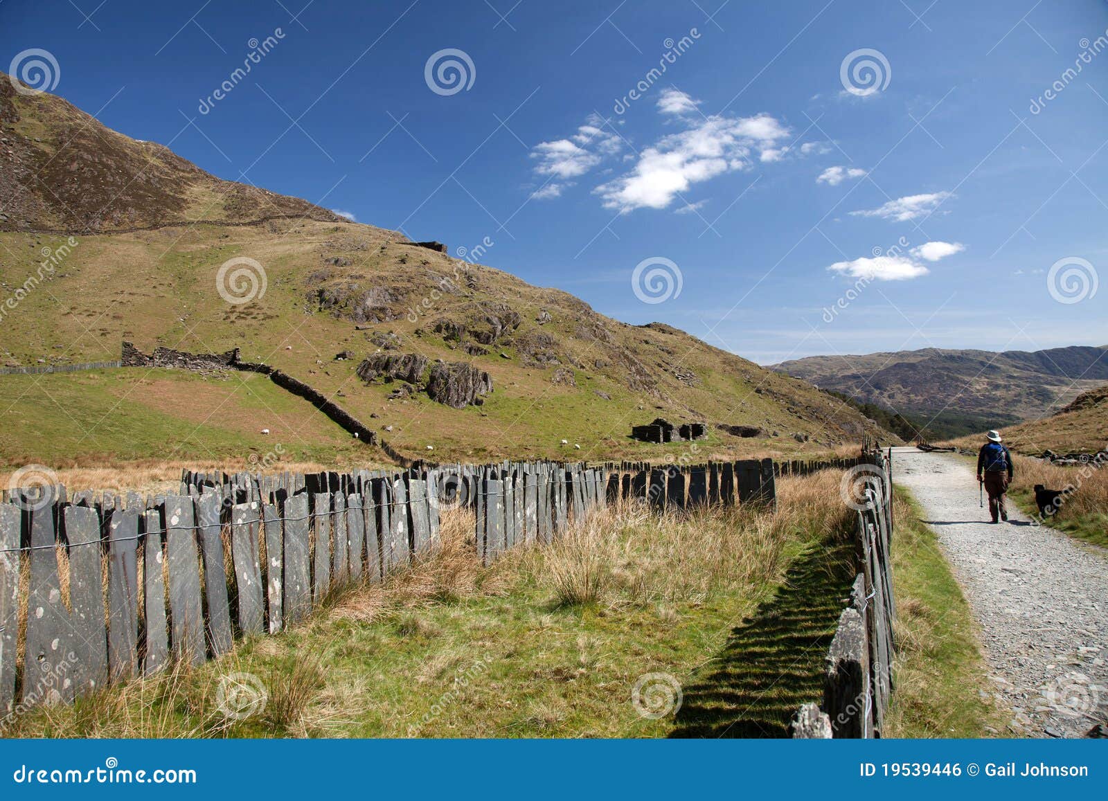 Views up the Watkins Path stock photo. Image of pools - 19539446