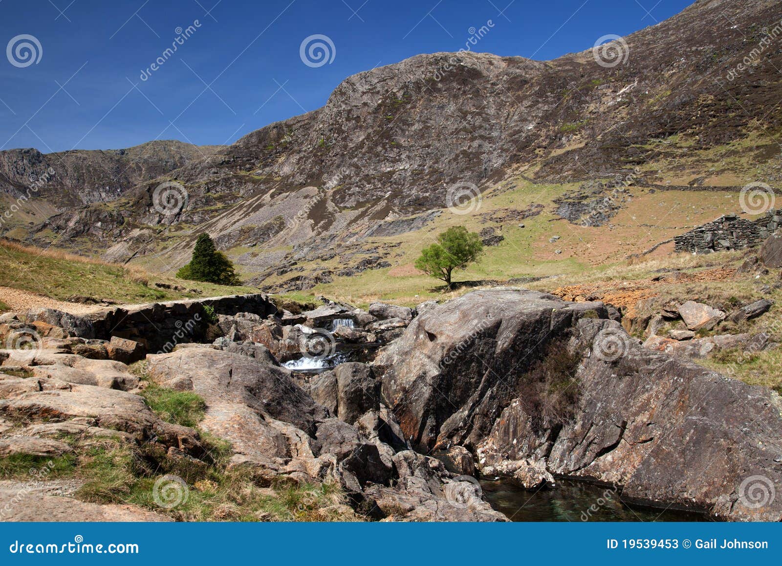 Views up the Watkins Path stock image. Image of watkin - 19539453