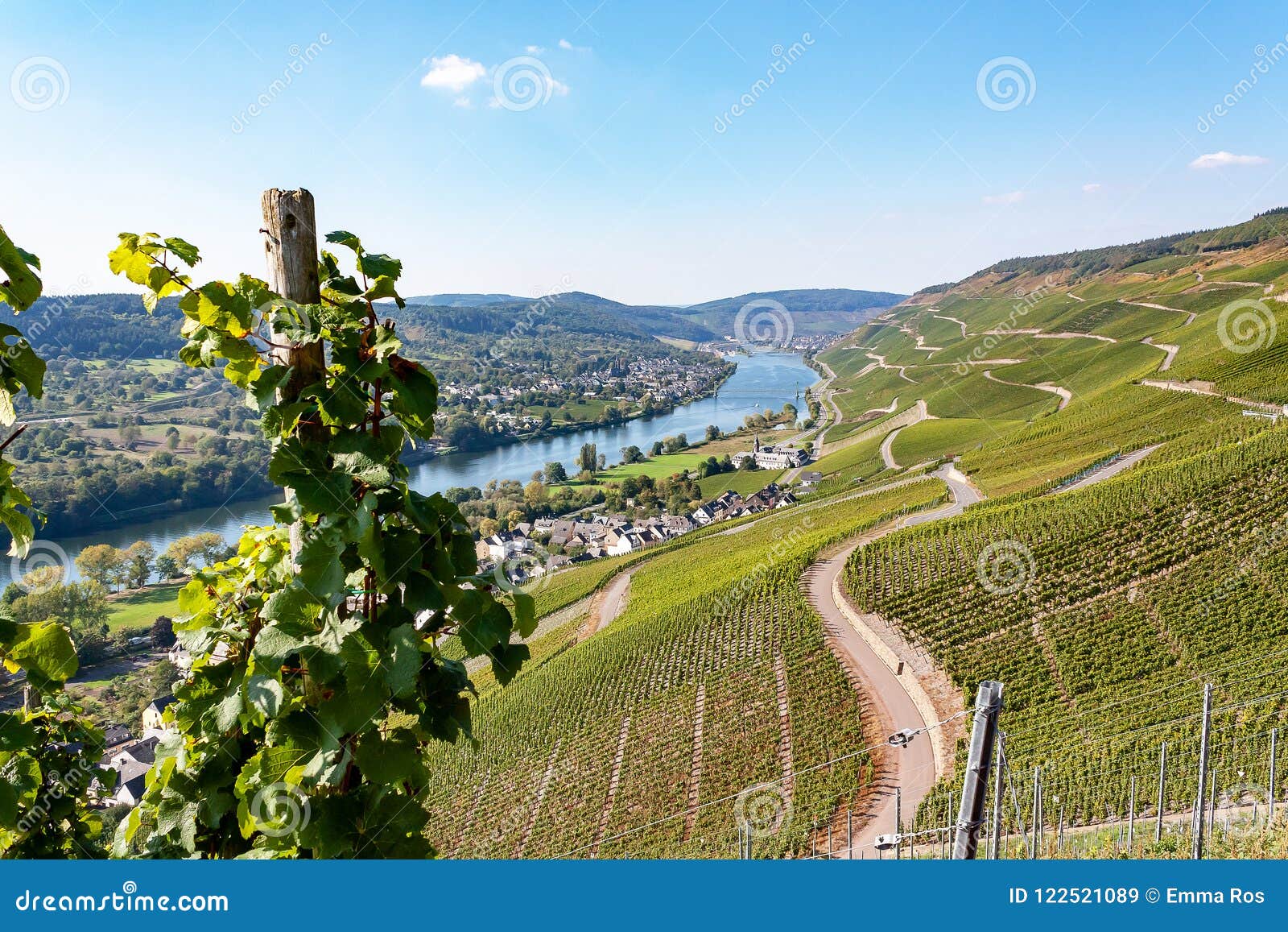 Views of the Vineyards Along the Mosel, Germany Stock Image - Image of ...