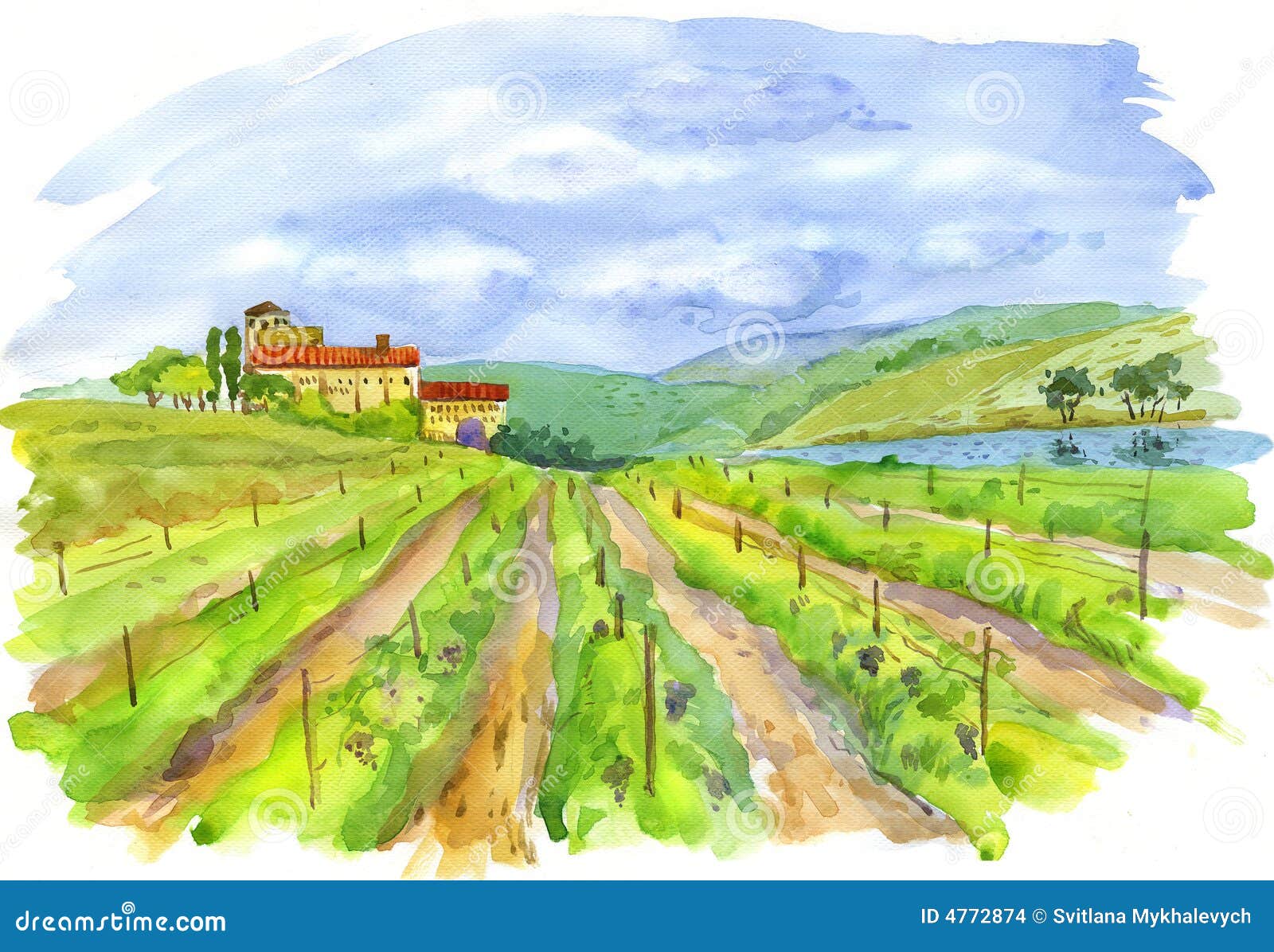 Vigna illustrazione di stock. Illustrazione di scenico - 4772874