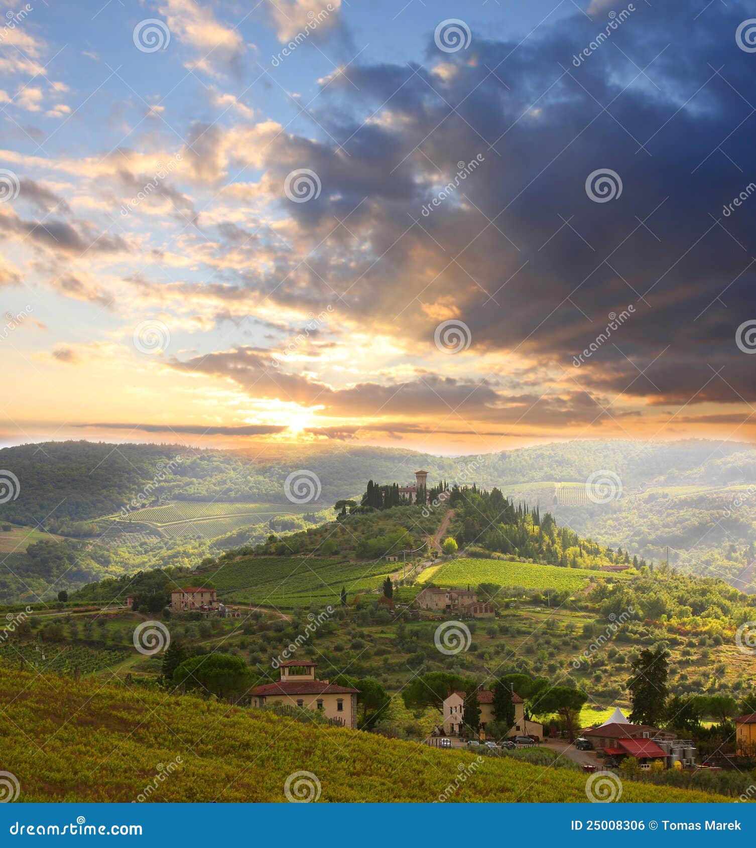 Vigna in Chianti, Toscana fotografia stock. Immagine di firenze - 25008306