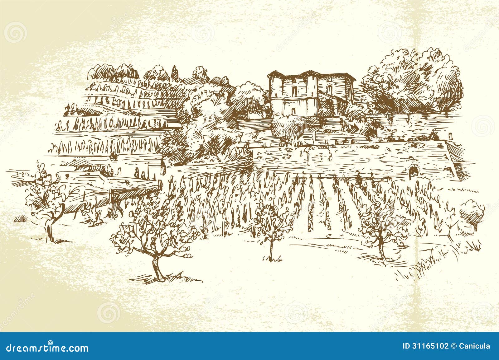 Vigna disegnata a mano illustrazione vettoriale. Illustrazione di nave ...