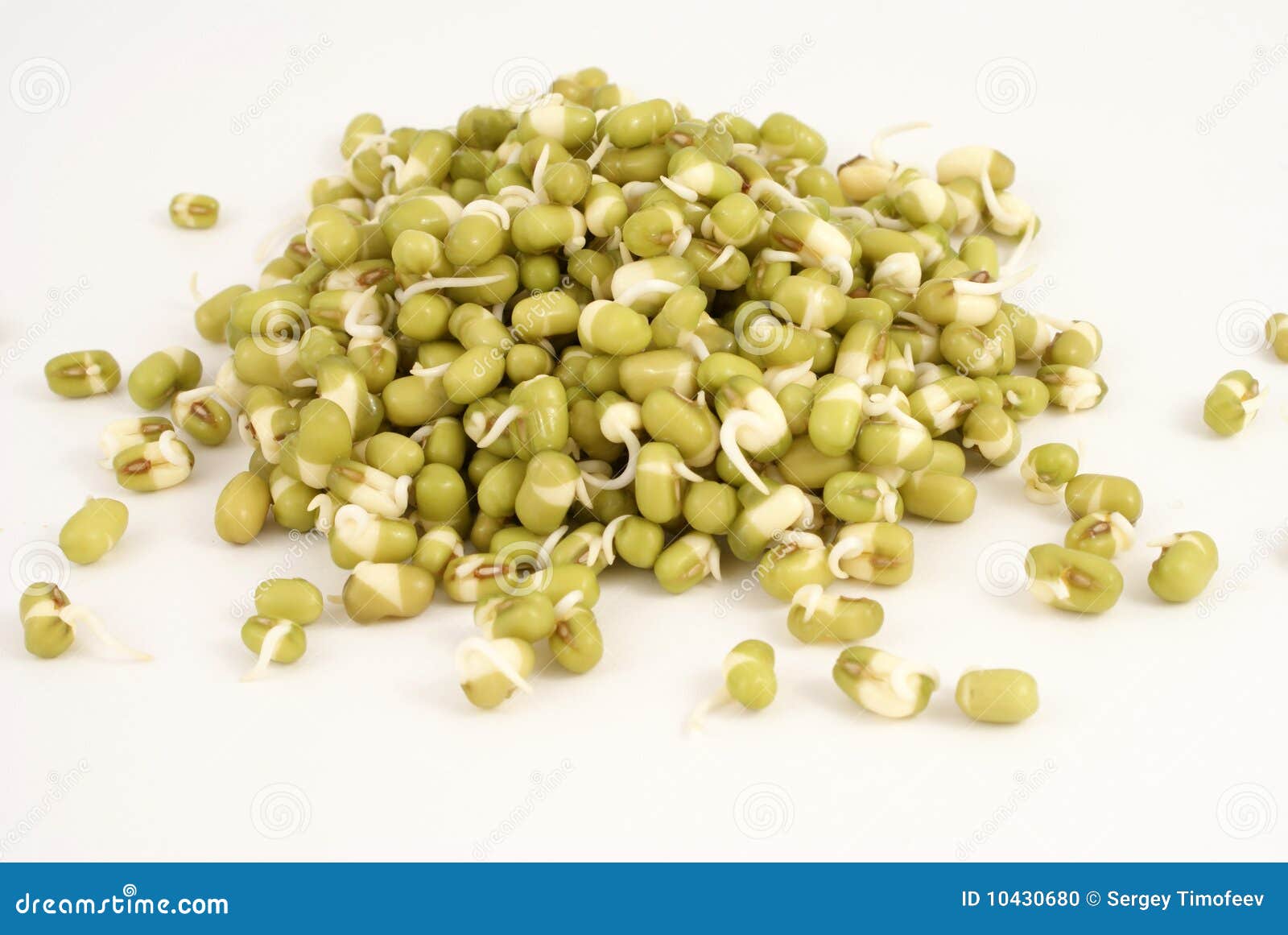 Vigna radiata stock photo. Image of design, child, beginnings - 10430680