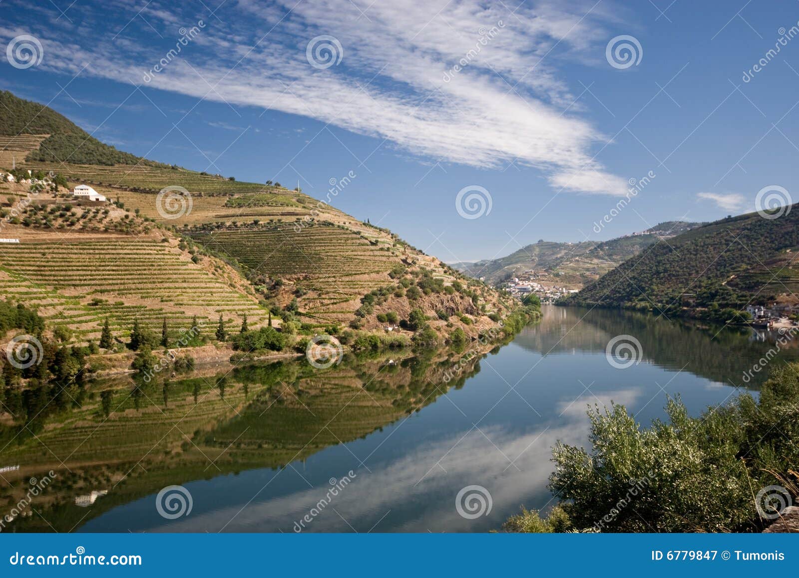 Vigna sul fiume di Douro immagine stock. Immagine di nave - 6779847