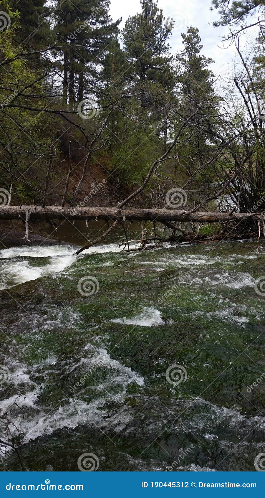 Vigorously moving river stock photo. Image of autumn - 190445312