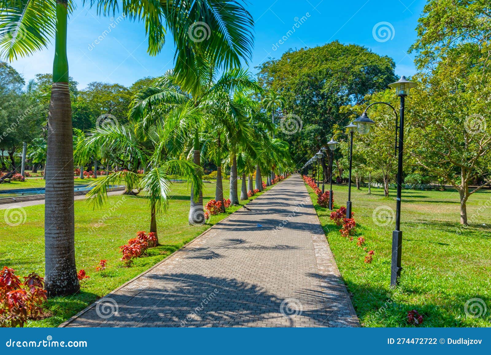 Viharamahadevi Park in Colombo, Sri Lanka Stock Photo - Image of lawn ...