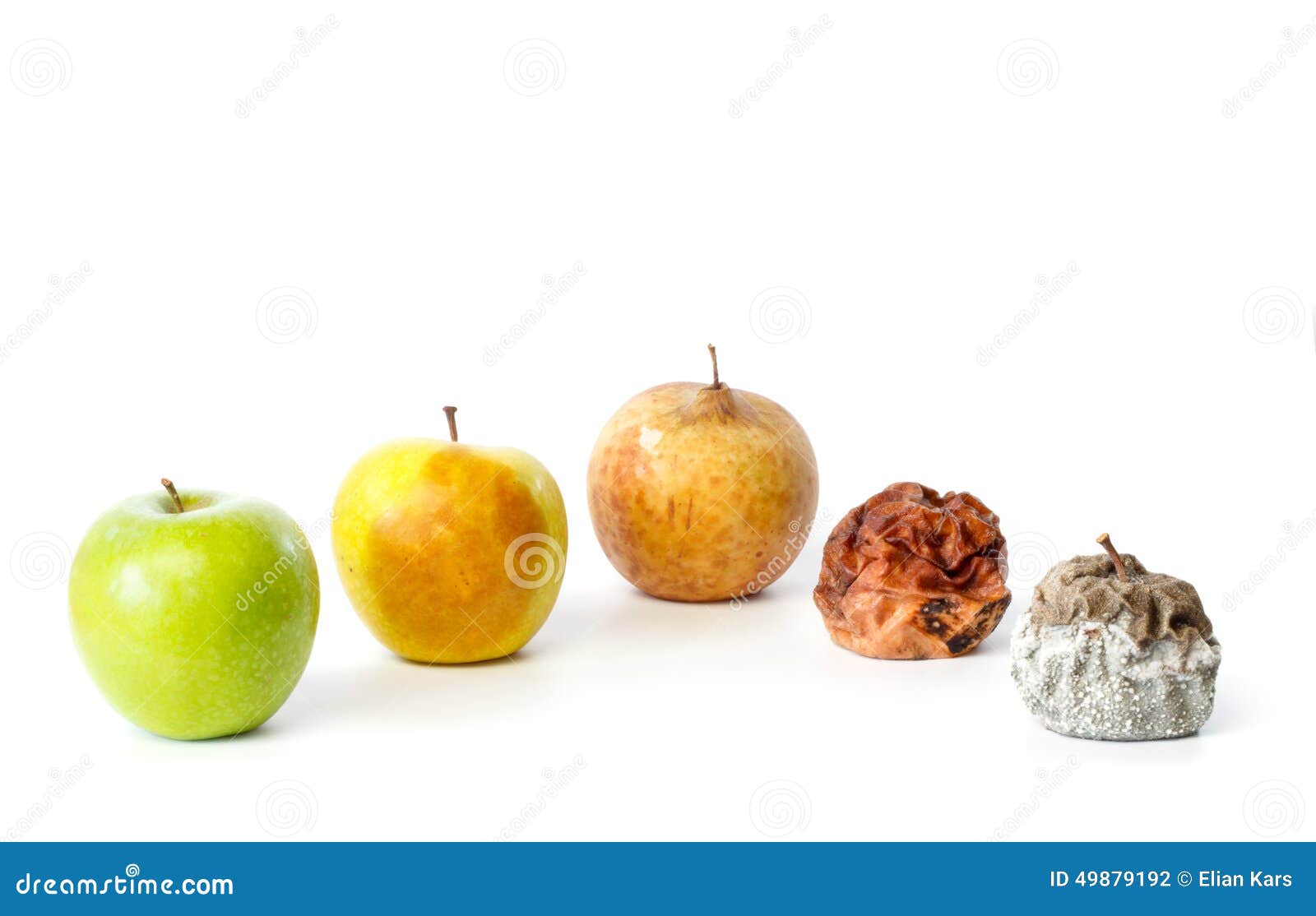 Vijf Appelen in Verschillende Stadia Van Bederf Stock Foto - Image of ...