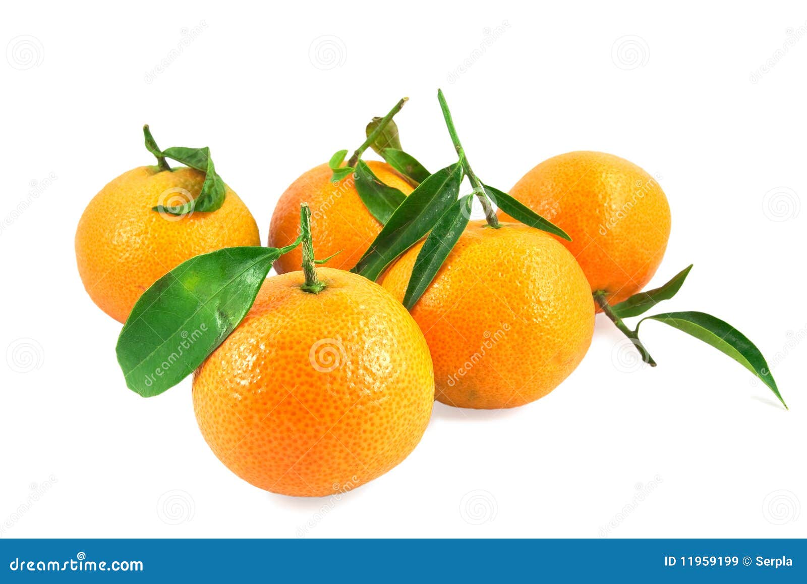 Vijf Mandarijnen Met Bladeren Stock Afbeelding - Image of groen ...