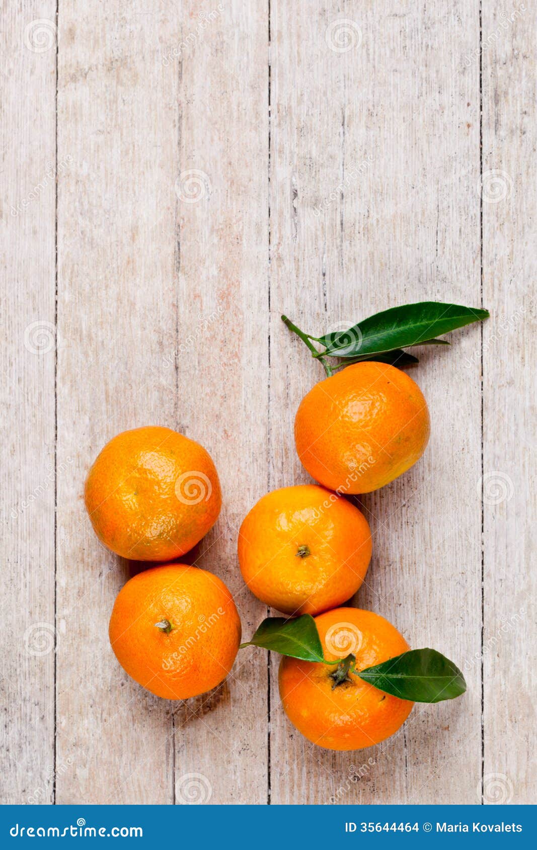 Vijf Mandarijnen Met Bladeren Stock Foto - Image of vers, nave: 35644464