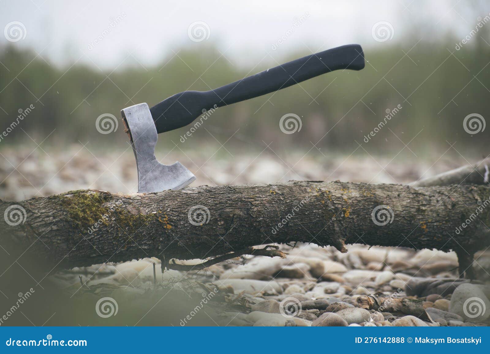 Viking Ax. an Ax Driven into a Piece of Wood. Ax in the Water Stock ...