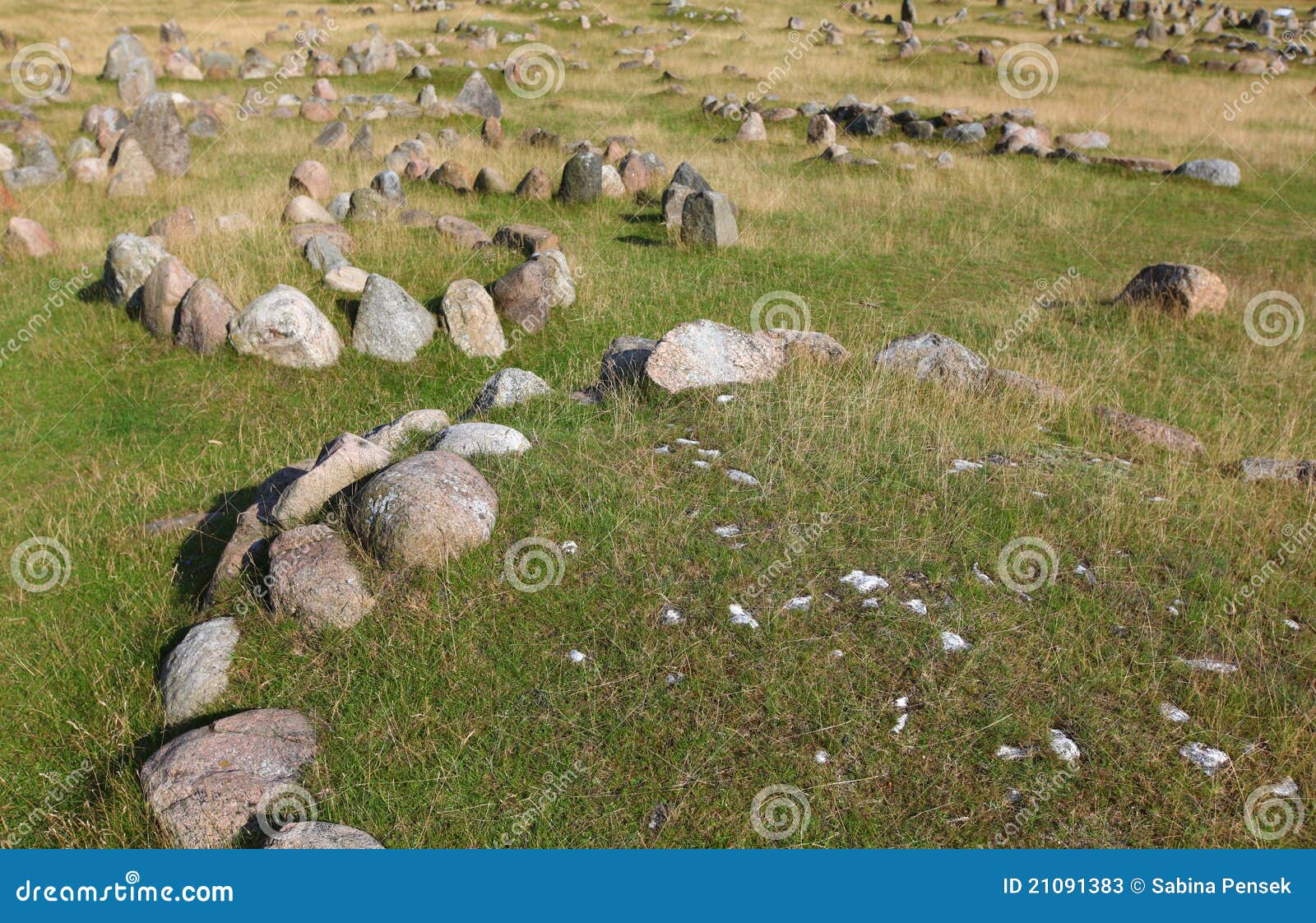 Viking Graveyard in Denmark with Stone Circles Stock Image - Image of ...