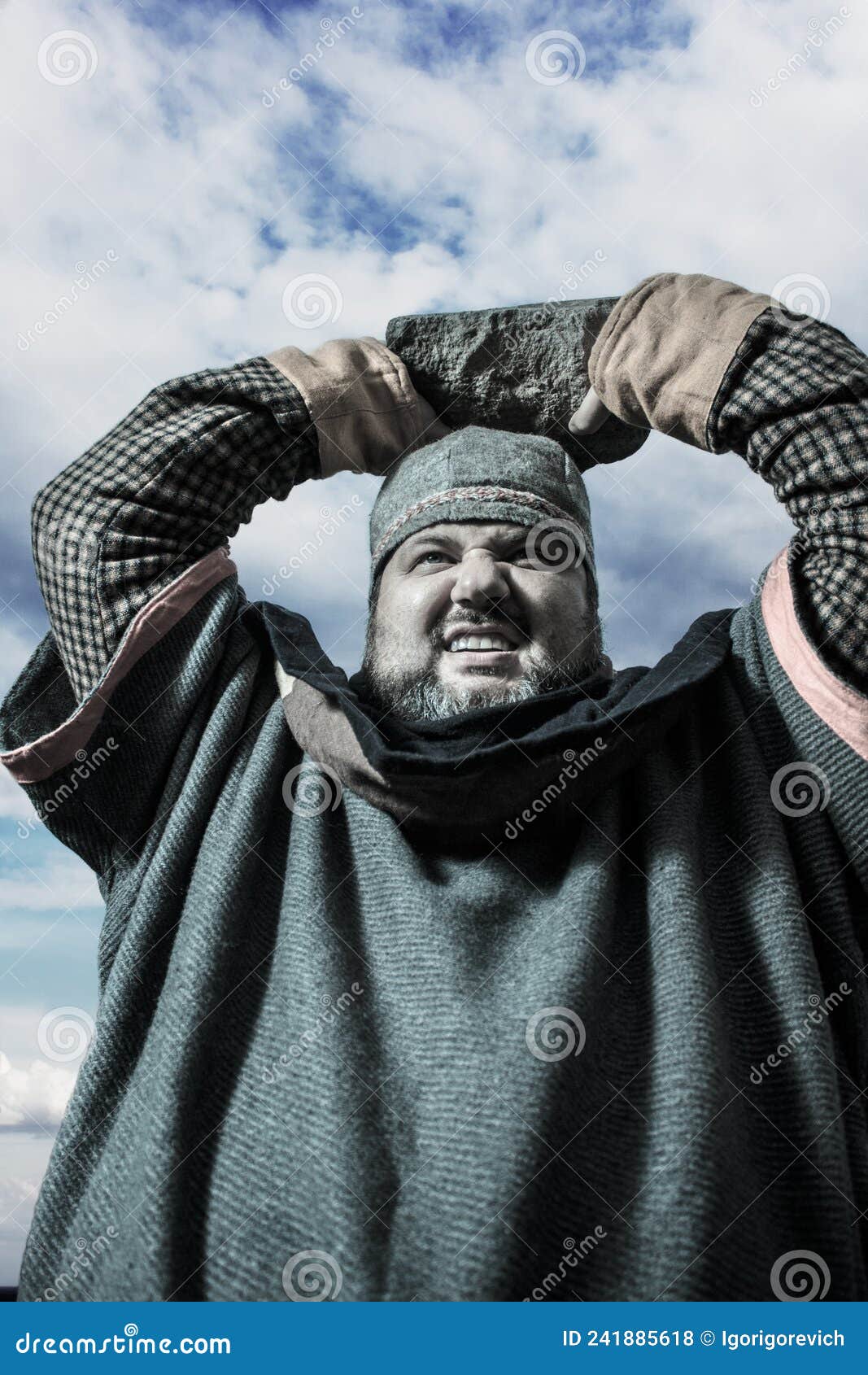 Viking rage stock photo. Image of history, northern - 241885618
