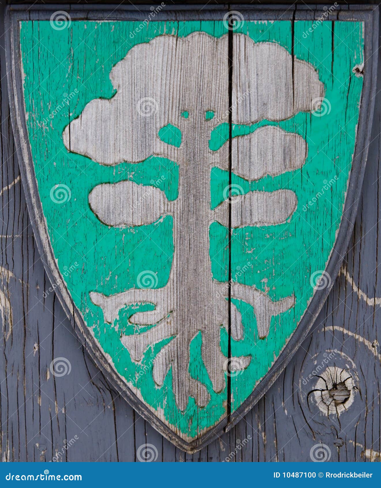 Viking Shield stock photo. Image of crest, weathered - 10487100