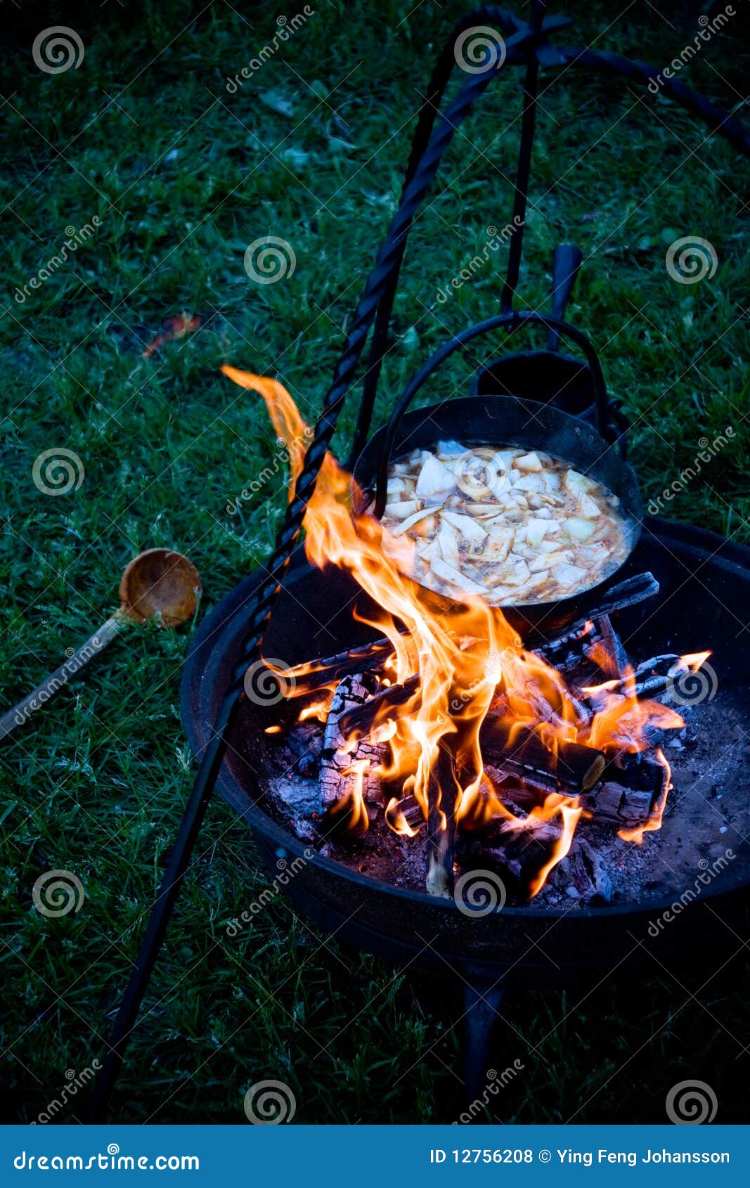 Viking style camp fire stock photo. Image of ancient - 12756208