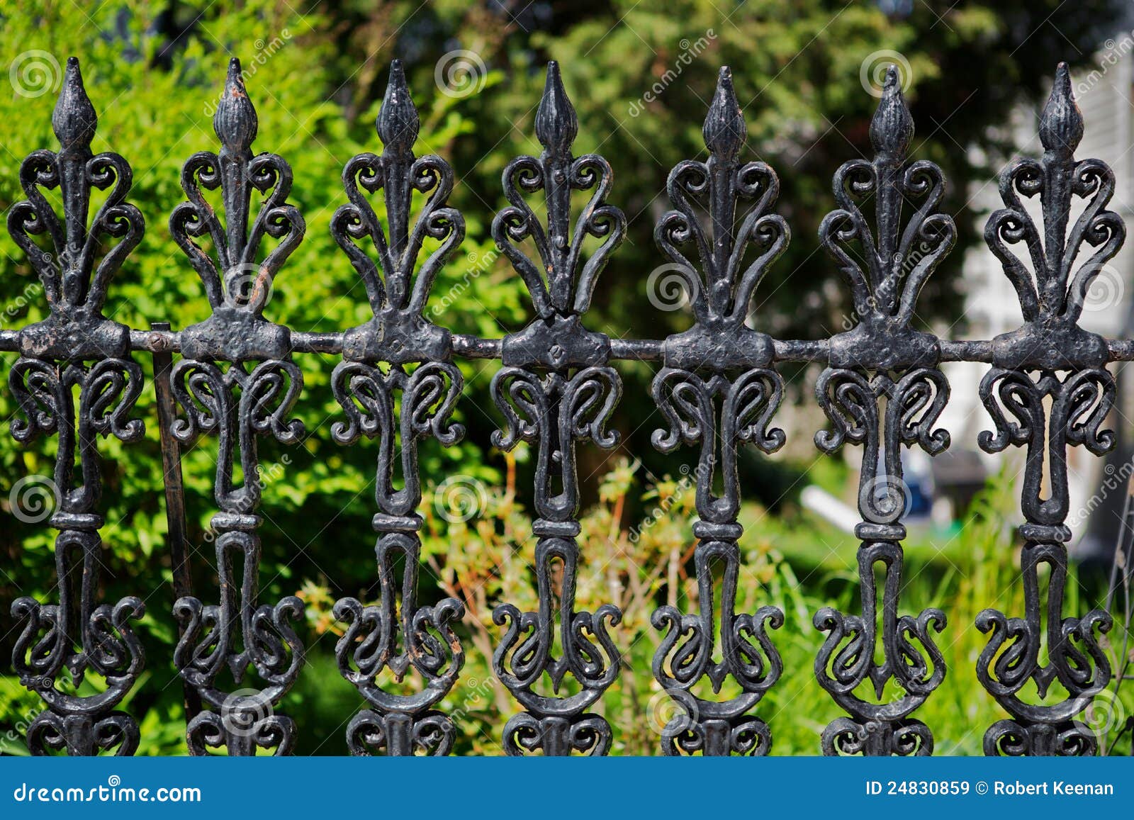 Viktorianischer Zaun stockbild. Bild von eleganz, geschmiedet - 24830859