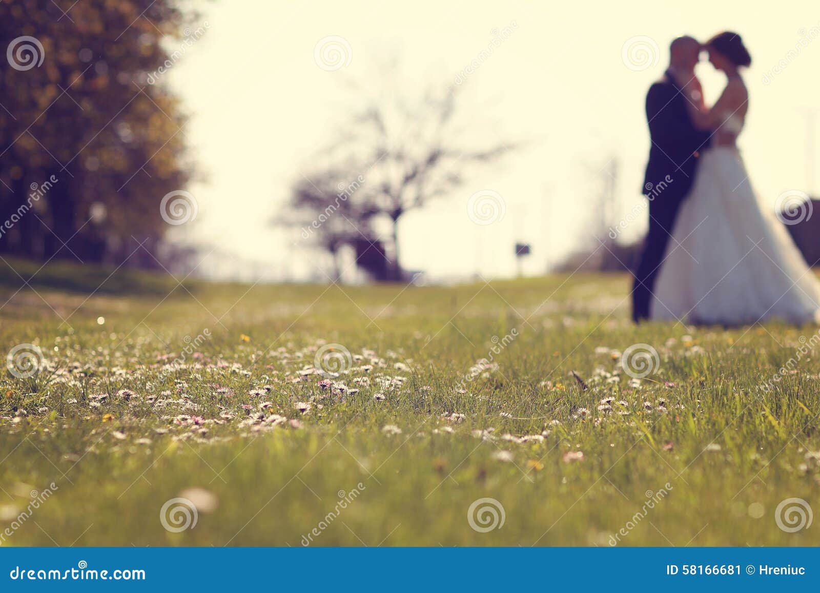 Vildblommor Med Bruden Och Brudgummen Som Konturer Fotografering för ... Vildblommor Med Bruden Och Brudgummen Som Konturer Fotografering för ...