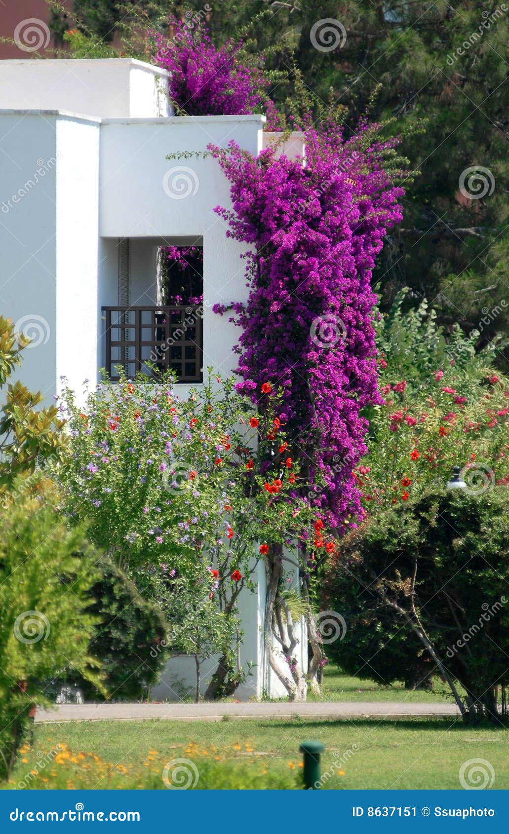Villa and flowers stock image. Image of conifer, paradise - 8637151