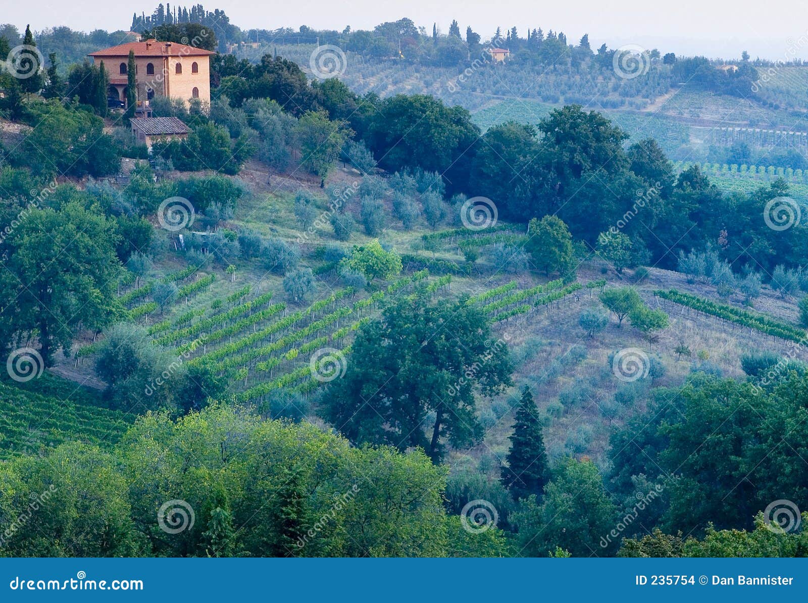Villa italiana fotografia stock. Immagine di vigna, italia - 235754