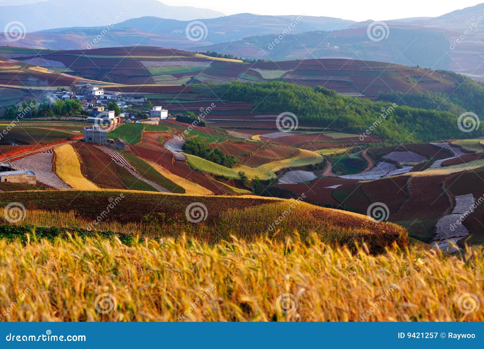 Village stock image. Image of tree, trucks, color, village - 9421257