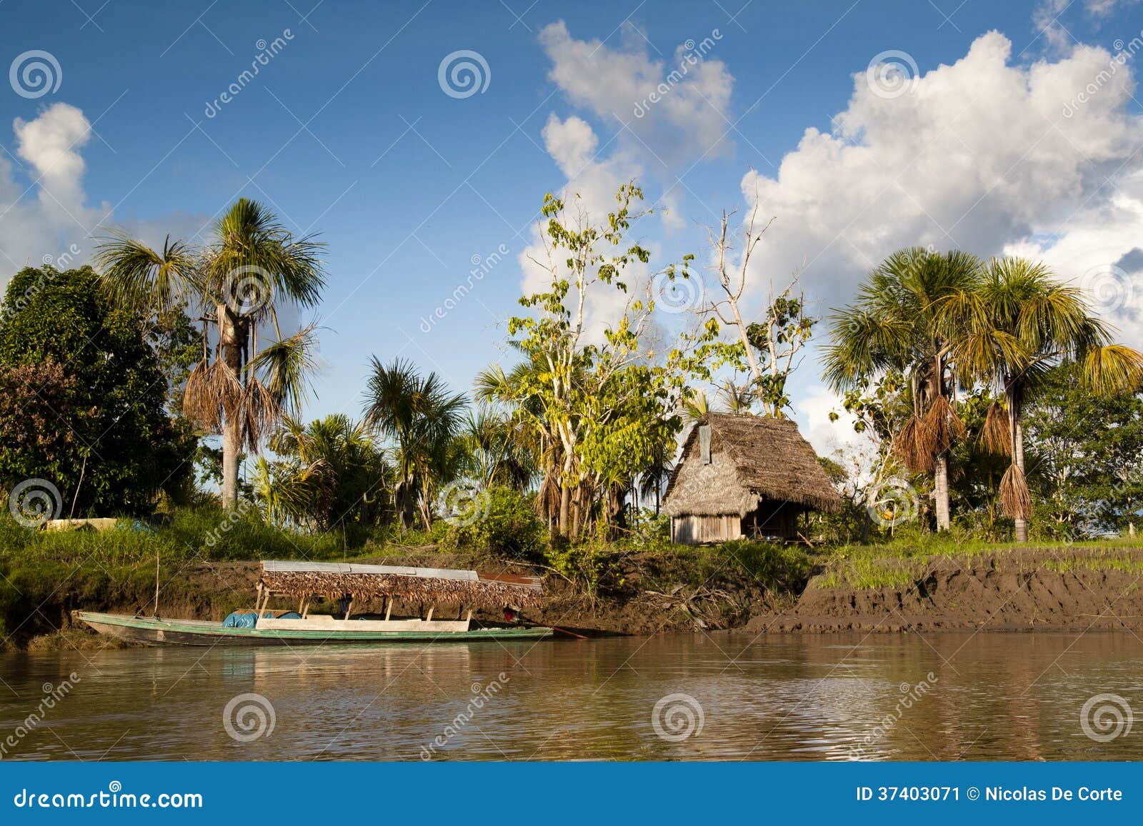 Hut In The Village In The Amazon Rainforest, Manaos, Brazil Stock Image ...