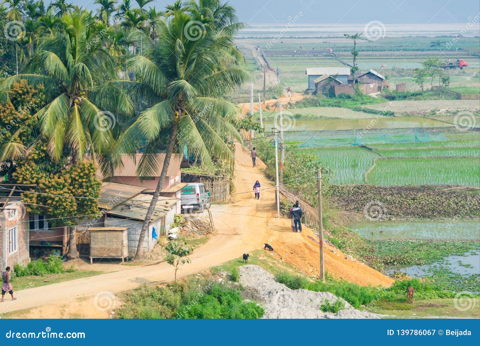 Assam, India - May 29, 2021 : Android Logo On Phone Screen Stock Image ... Assam, India - May 29, 2021 : Android Logo On Phone Screen Stock Image ...