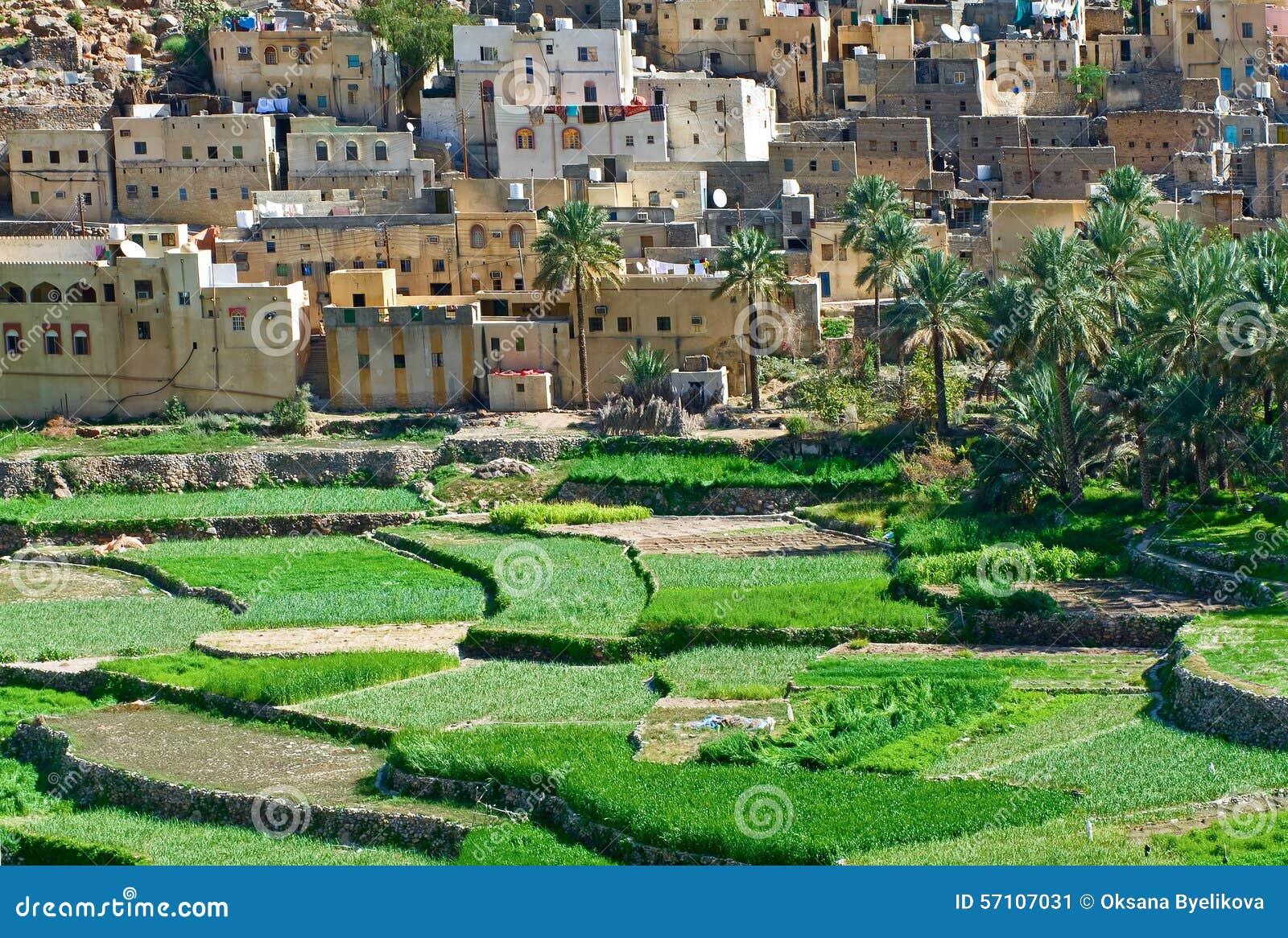 160 Bahla Oasis Stock Photos - Free & Royalty-Free Stock Photos from ...