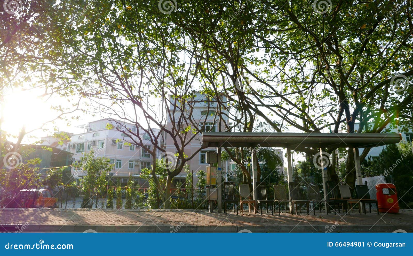 Village Bus Stop Station with Trees and Plants Stock Image - Image of ...