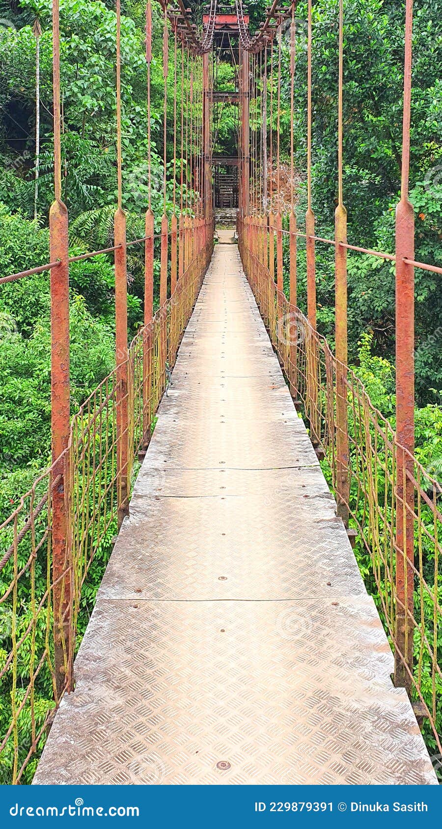 Village Cable Bridge To Forest Old Bridge Stock Image - Image of pass ...