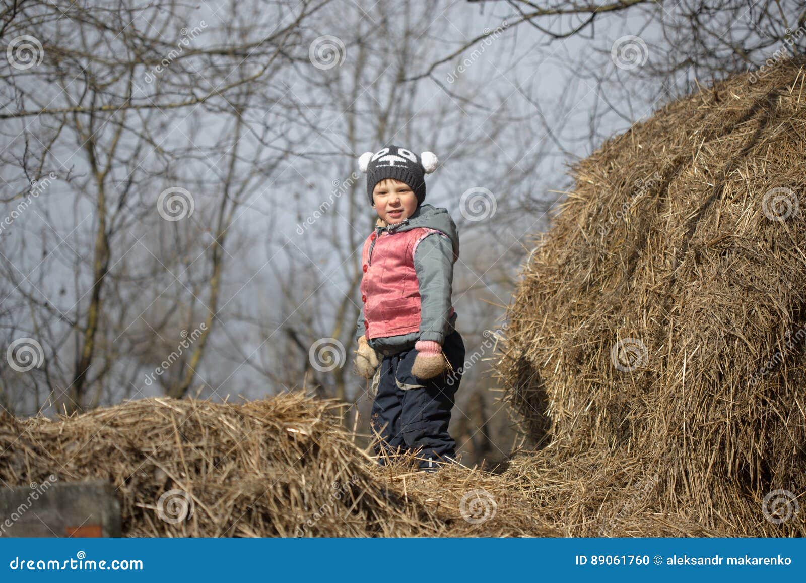 Village Children Playing in a Straw Stack Stock Photo - Image of ...