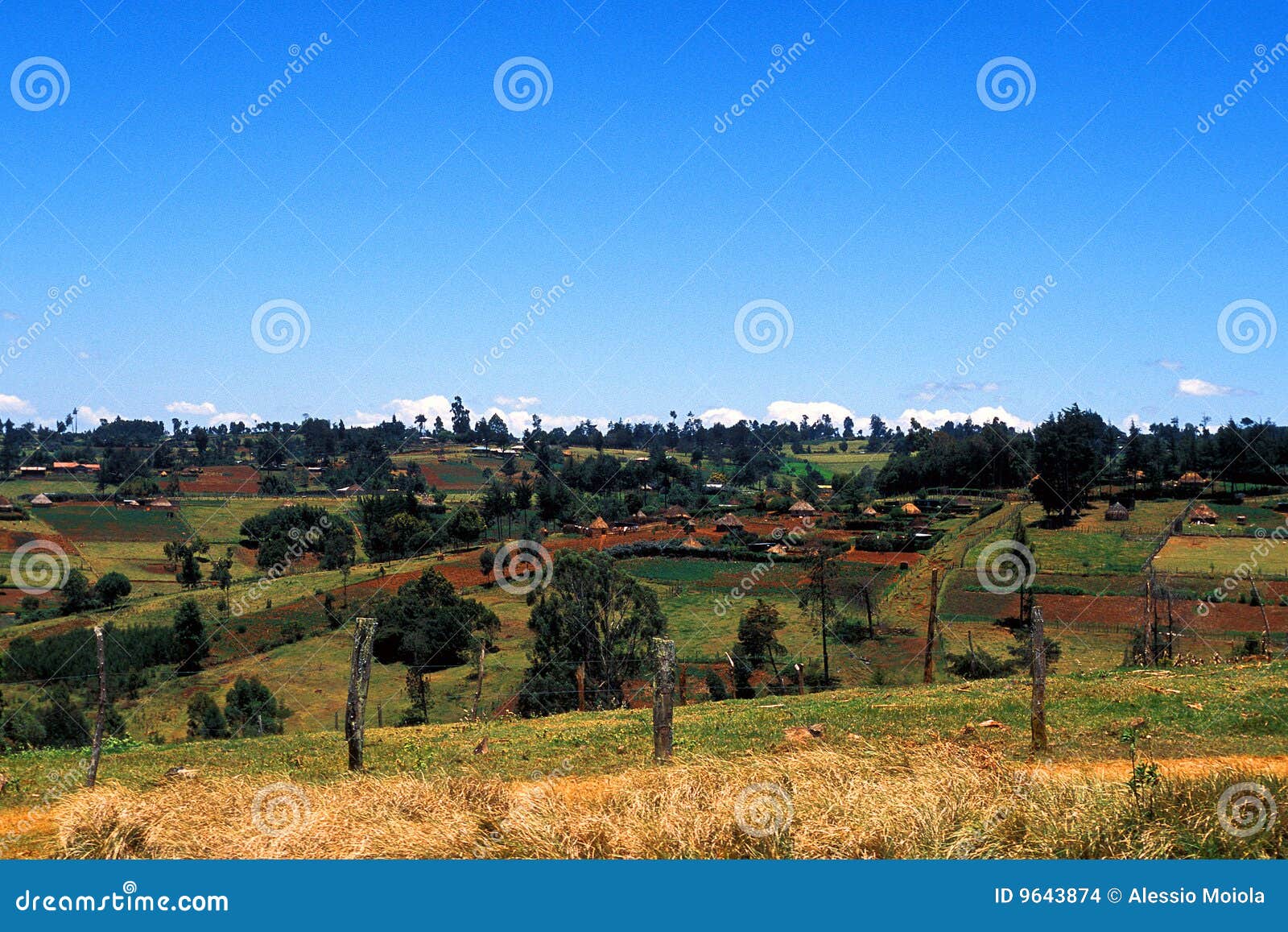 Village and fields stock photo. Image of scene, light - 9643874